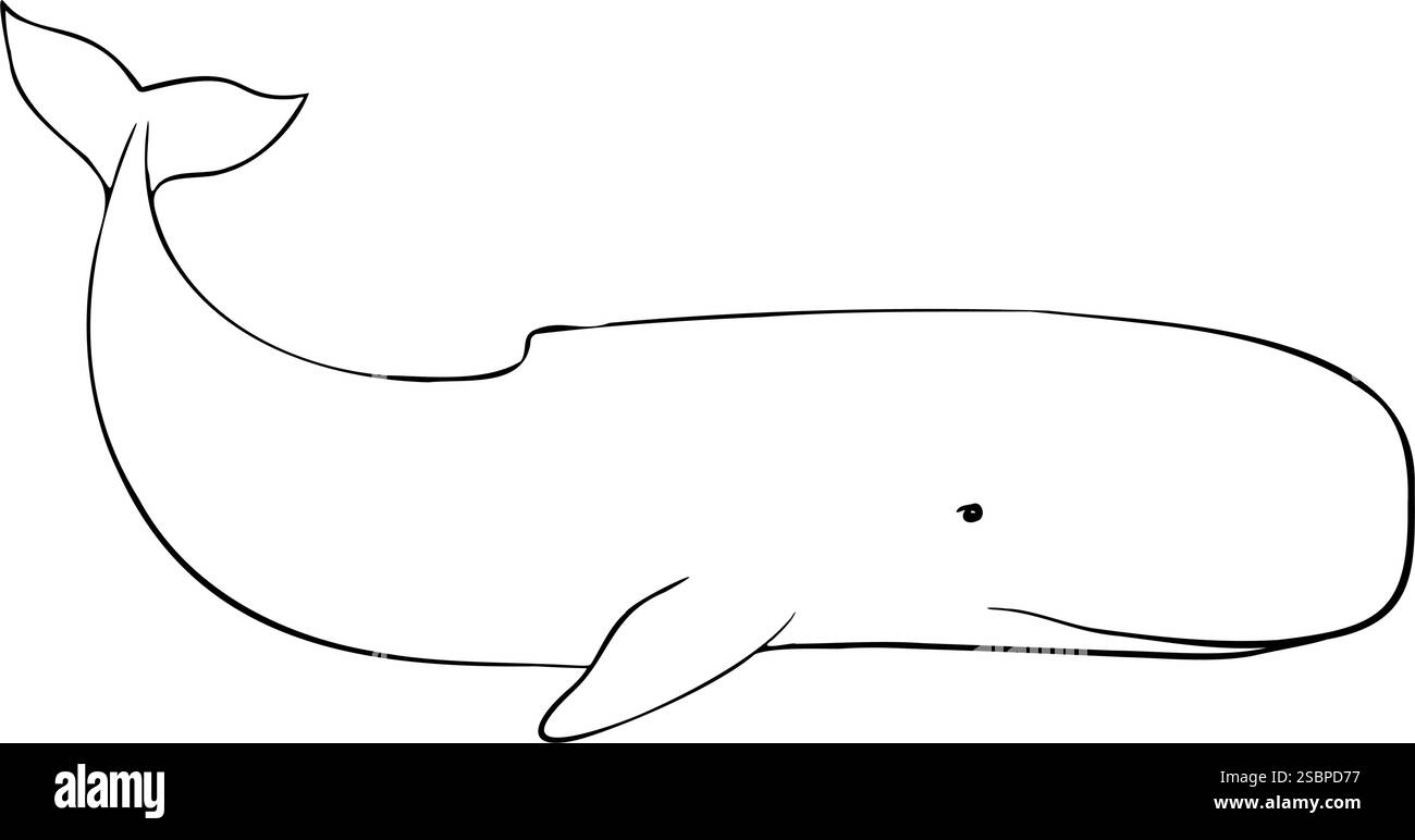 Outline of sperm whale, cachalot, sea animals. Hand drawn black inks ...