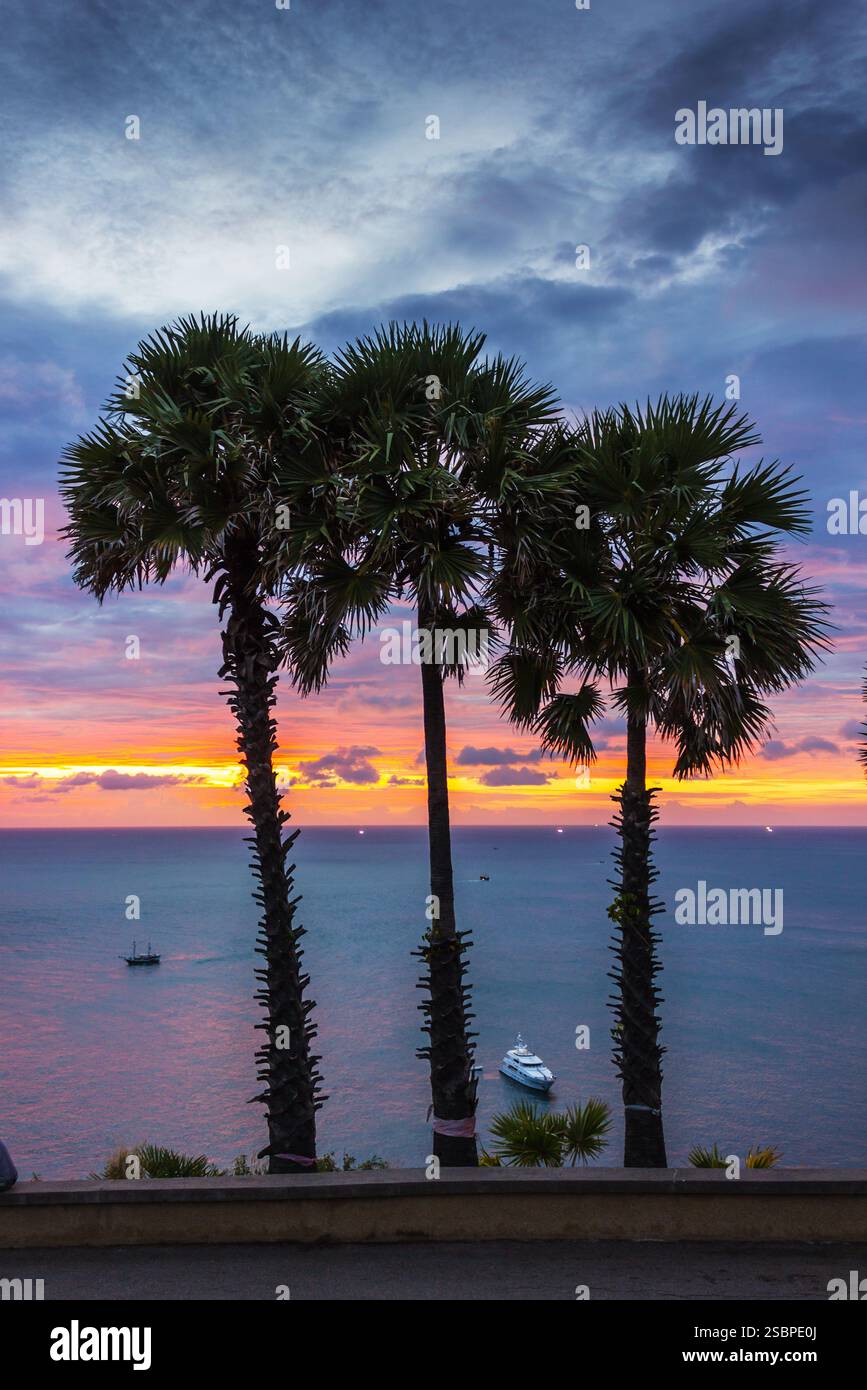 Set among palm trees on the island of Phuket Stock Photo - Alamy
