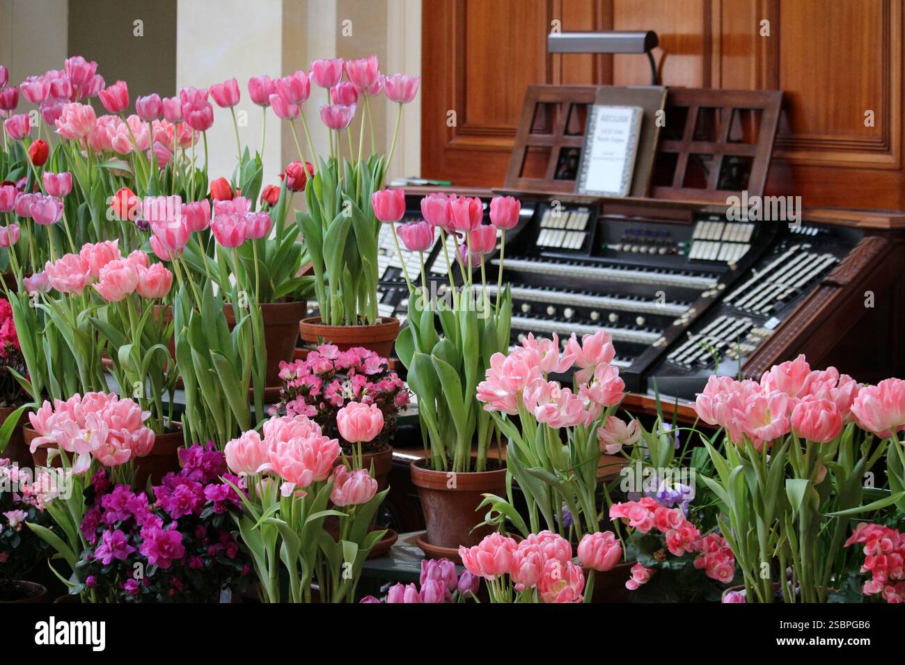 Eastman Museum Dutch Connection Organ with Tulips Stock Photo - Alamy
