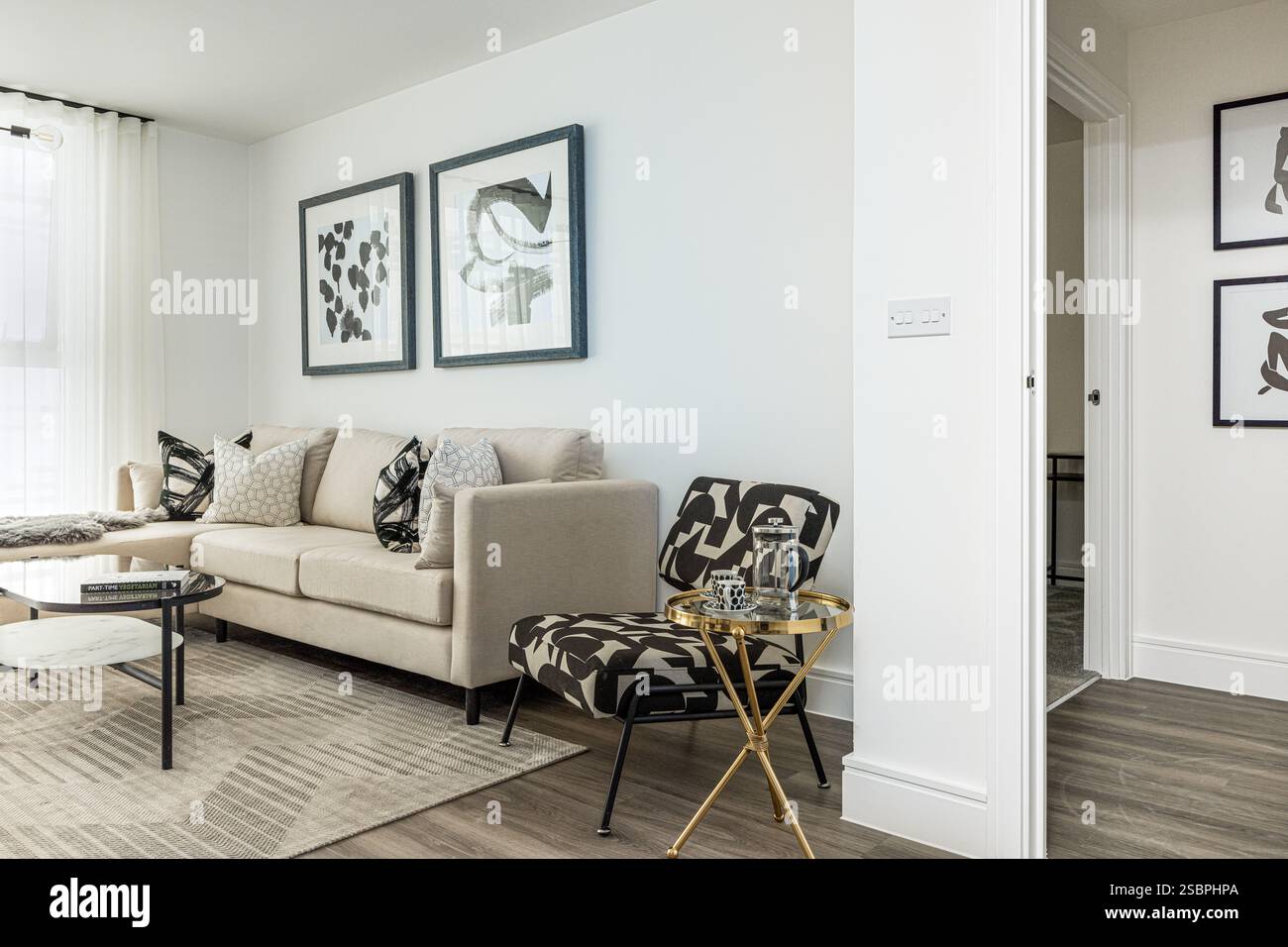 Modern developer house interiors Stock Photo - Alamy