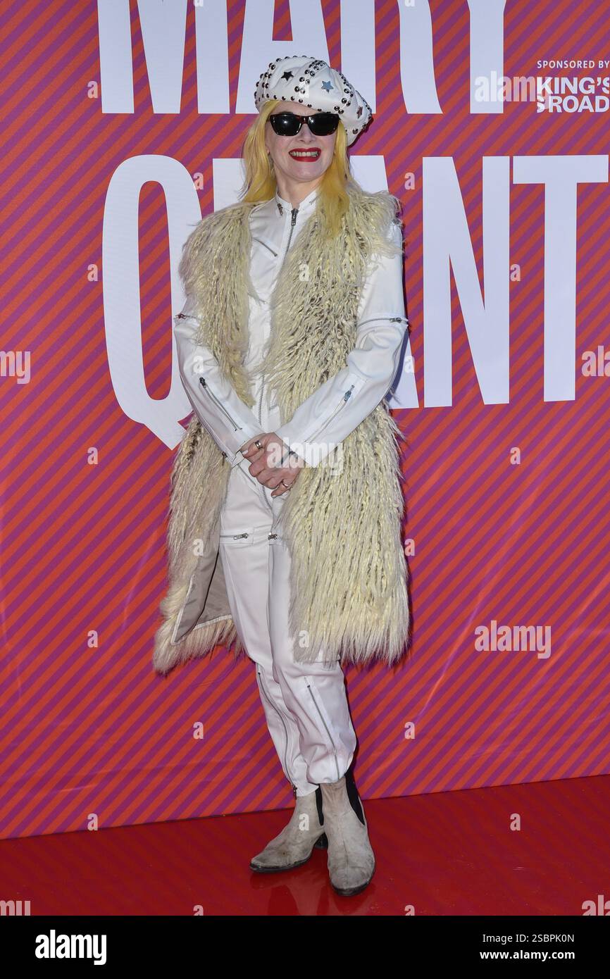 Pam Hogg attends the Mary Quant VIP Preview at The Victoria & Albert ...