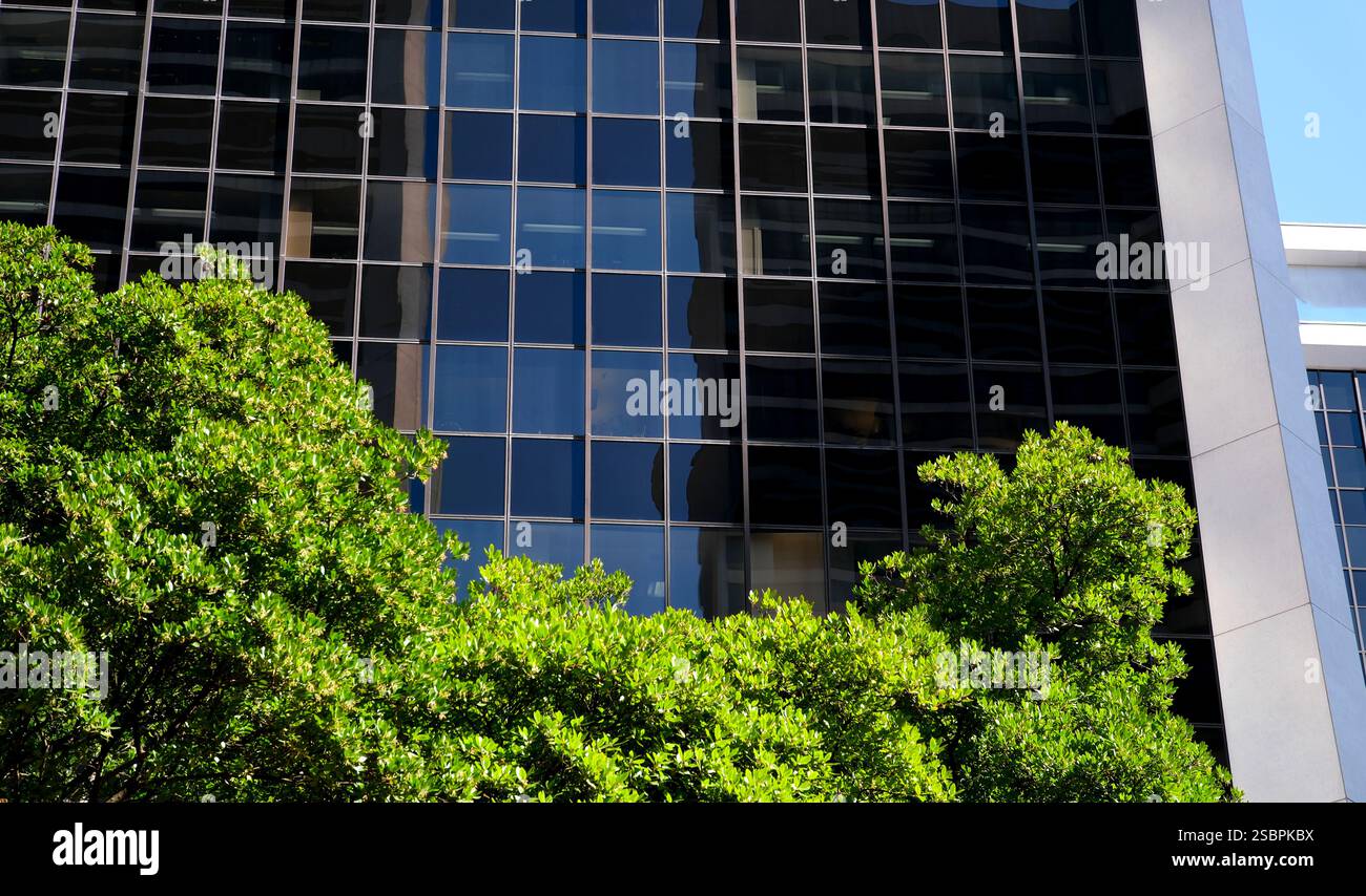 Eco-friendly building in the modern city. Sustainable glass office ...