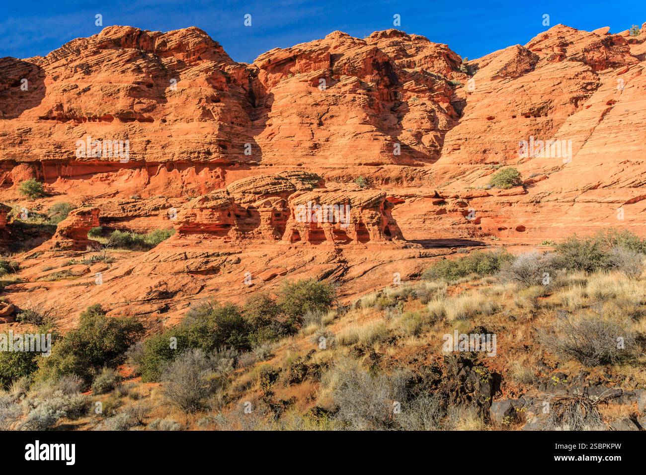 Rocky hillside with a few trees scattered around. The trees are small ...