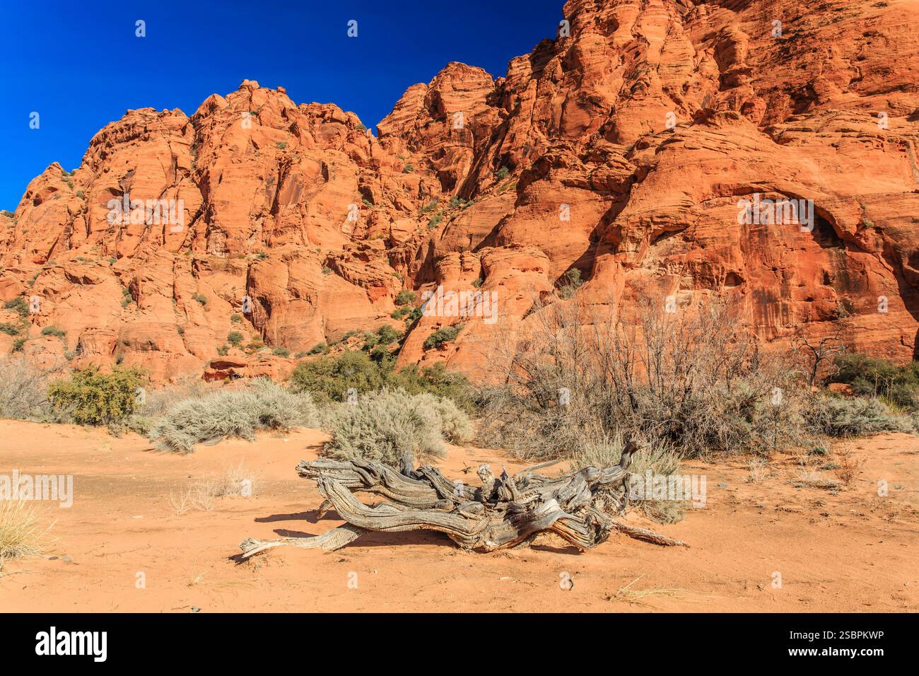 Large rock formation with a tree branch sticking out of it. The branch ...
