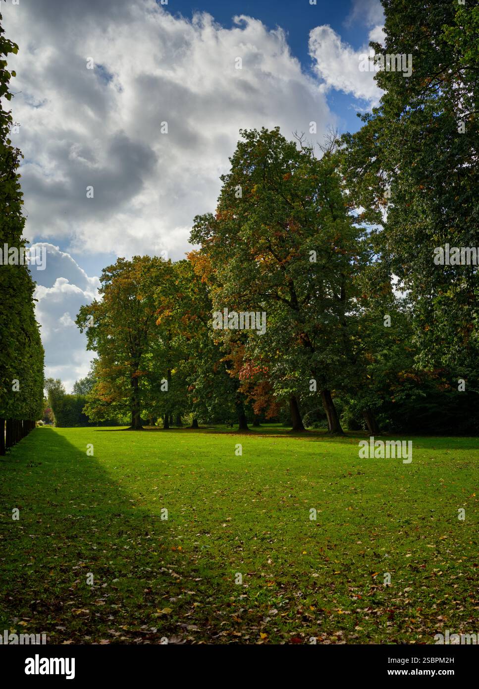 Scenery of a park with high hedges and tight leafy trees on digital ...