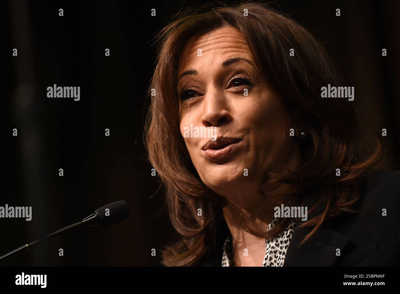 Senator Kamala Harris at the National Action Network Convention on ...