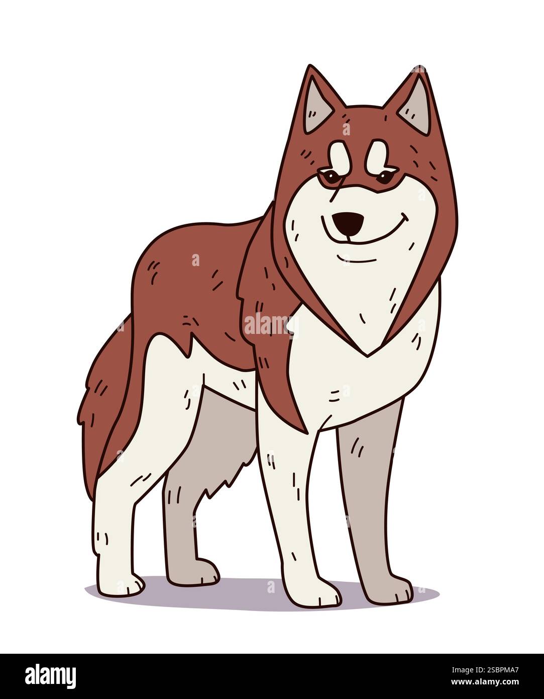 Husky dog cartoon style brown white standing confident expression ...