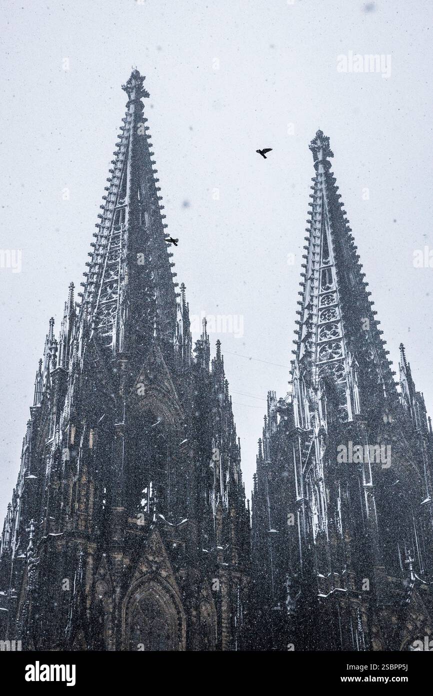 the cathedral, snow, winter, Cologne, Germany. January 09, 2025 der Dom ...