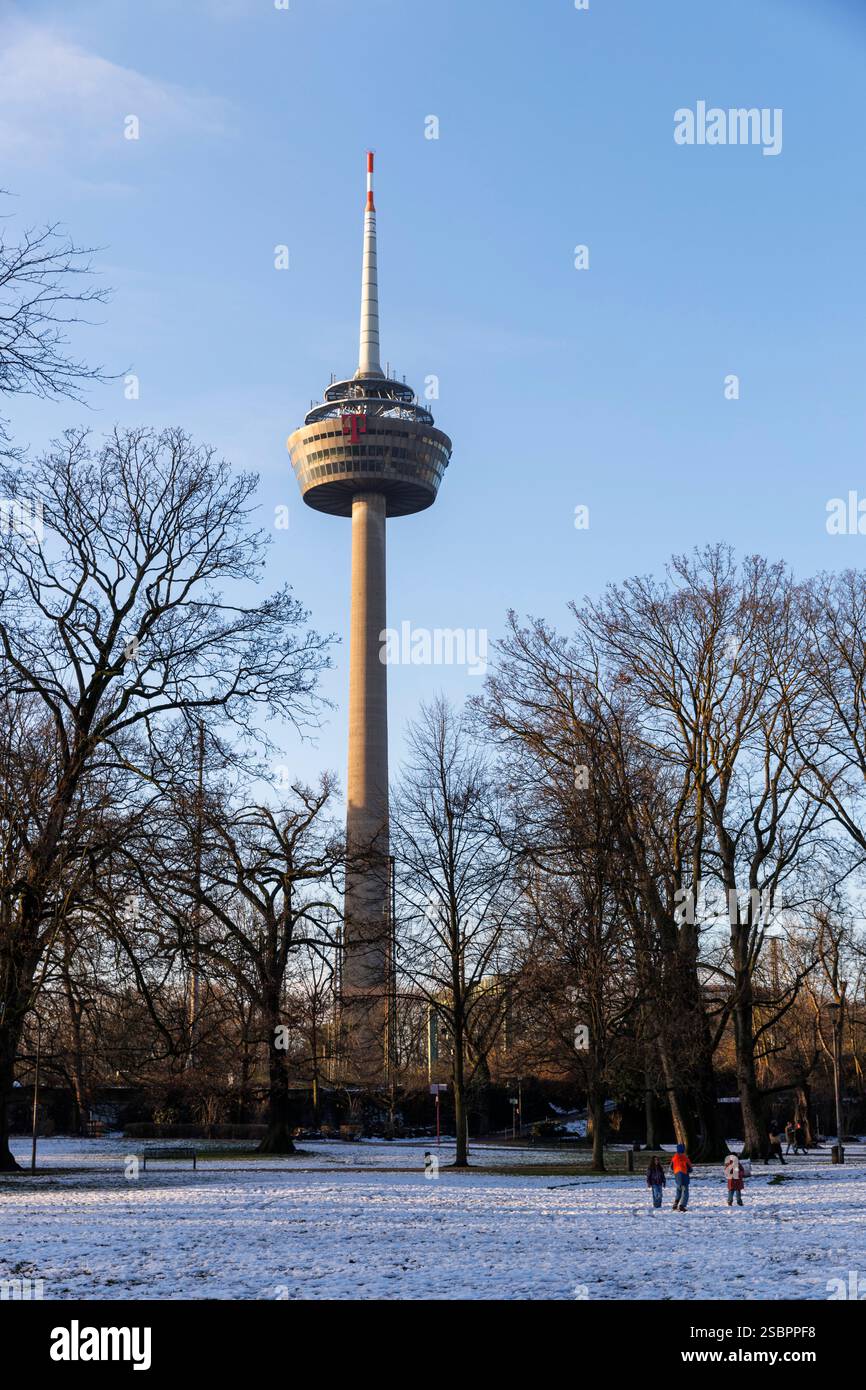 winter in the Stadtgarten (town garden), television tower Colonius ...