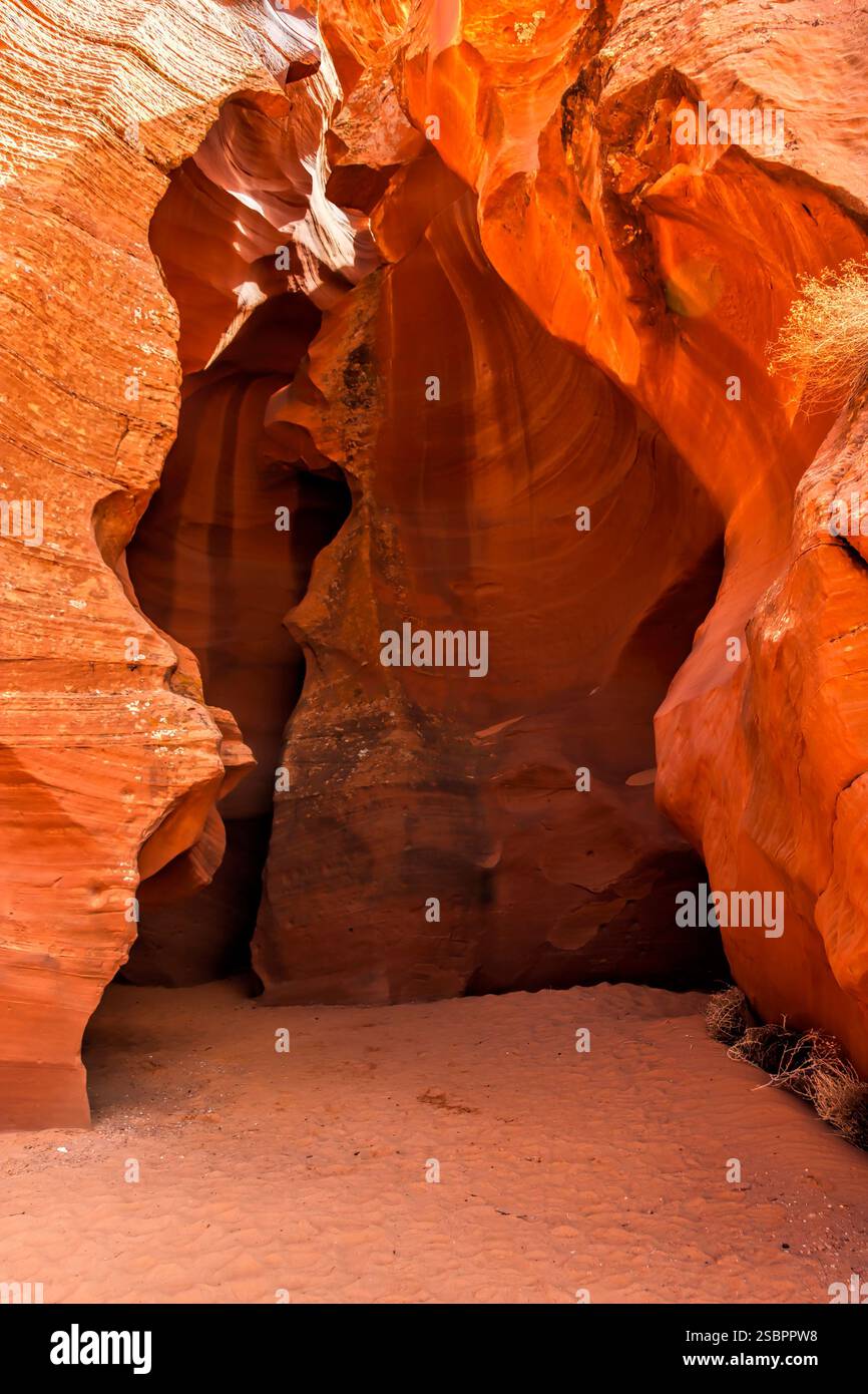 A cave with a wall of red rock. The cave is empty. The light is shining ...