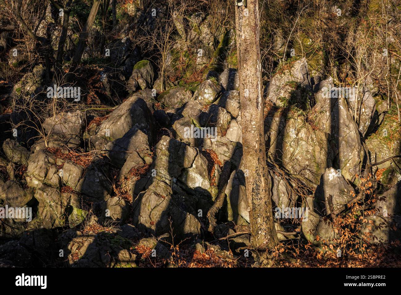 the Hemer Felsenmeer, Hemer, Sauerland, North Rhine-Westphalia, Germany ...