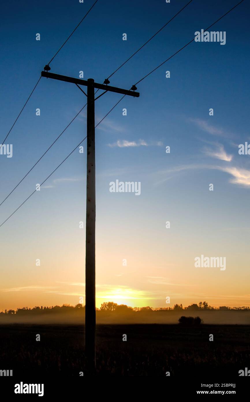 A tall pole with wires on top of it. The pole is in a field. The sky is ...
