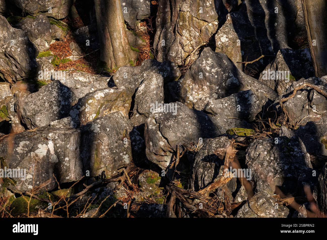 the Hemer Felsenmeer, Hemer, Sauerland, North Rhine-Westphalia, Germany ...