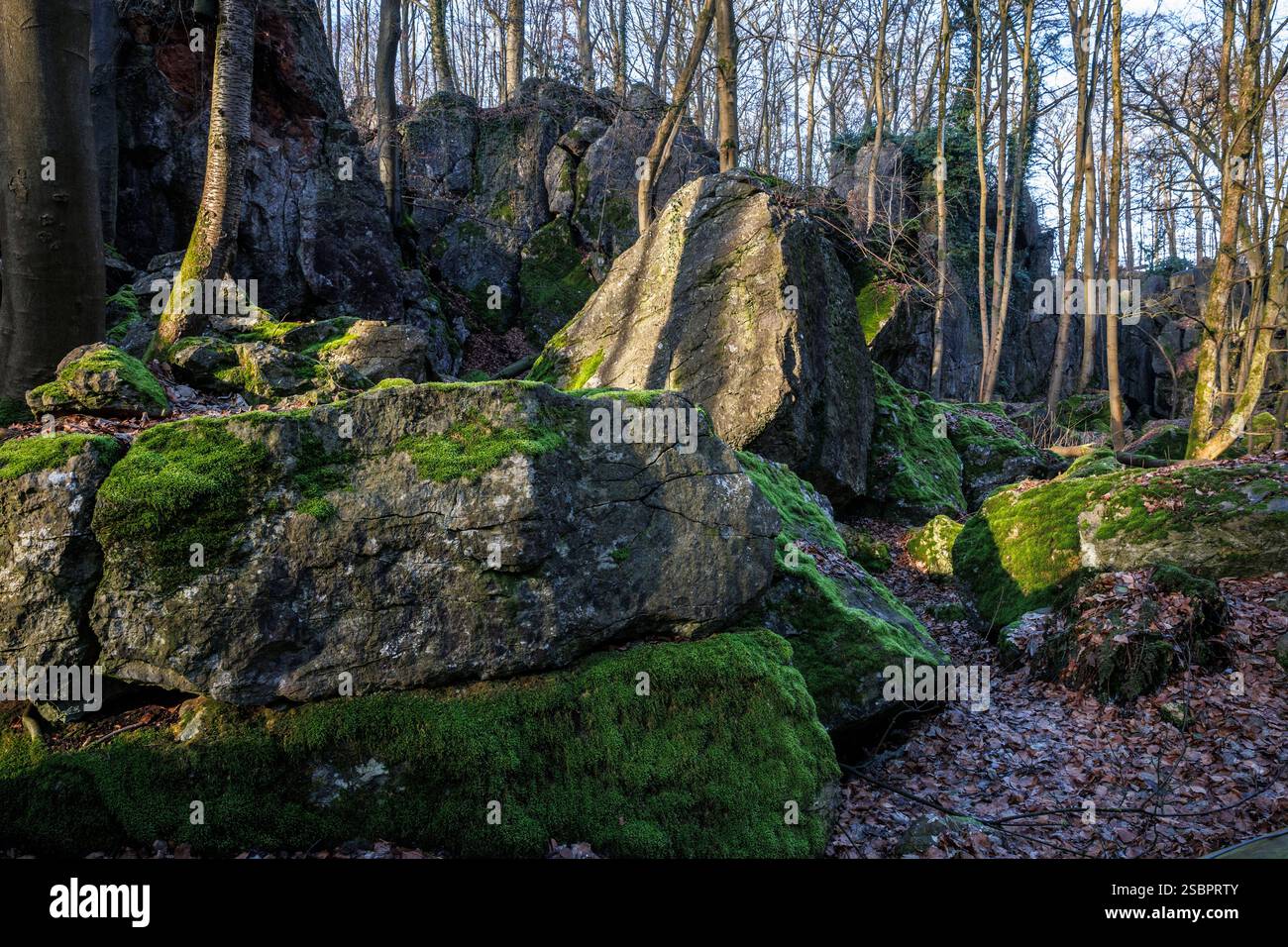 the Hemer Felsenmeer, Hemer, Sauerland, North Rhine-Westphalia, Germany ...
