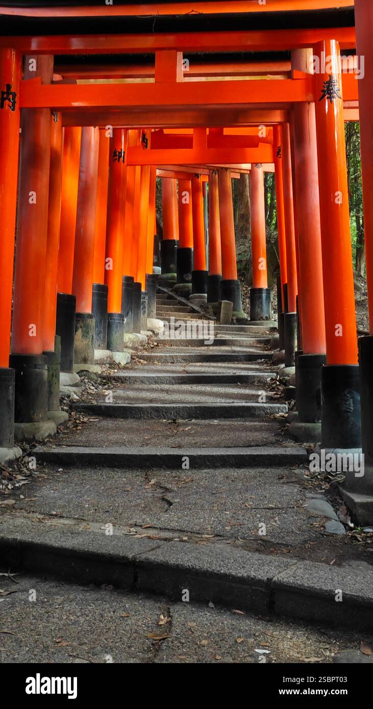 Fushimi inari temple hi-res stock photography and images - Alamy