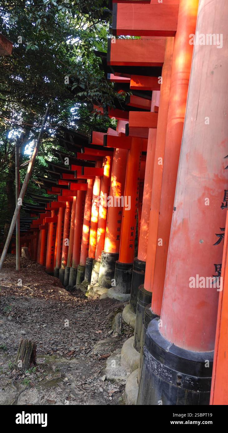 Inari temple hi-res stock photography and images - Alamy
