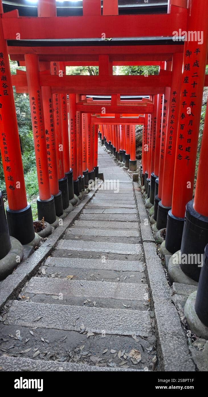 Fushimi inari temple hi-res stock photography and images - Alamy