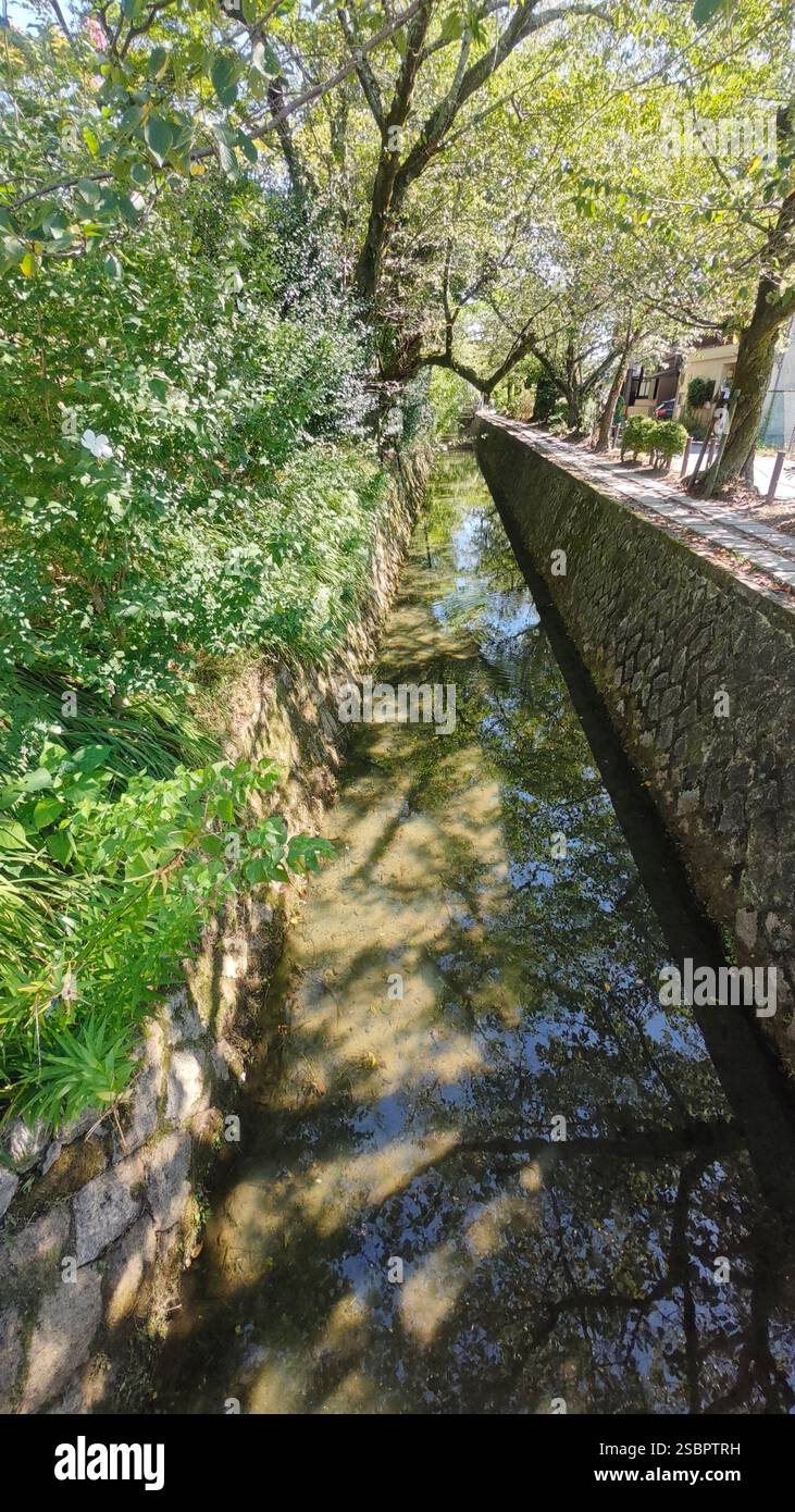 Philosopher's Path in Kyoto Stock Photo - Alamy
