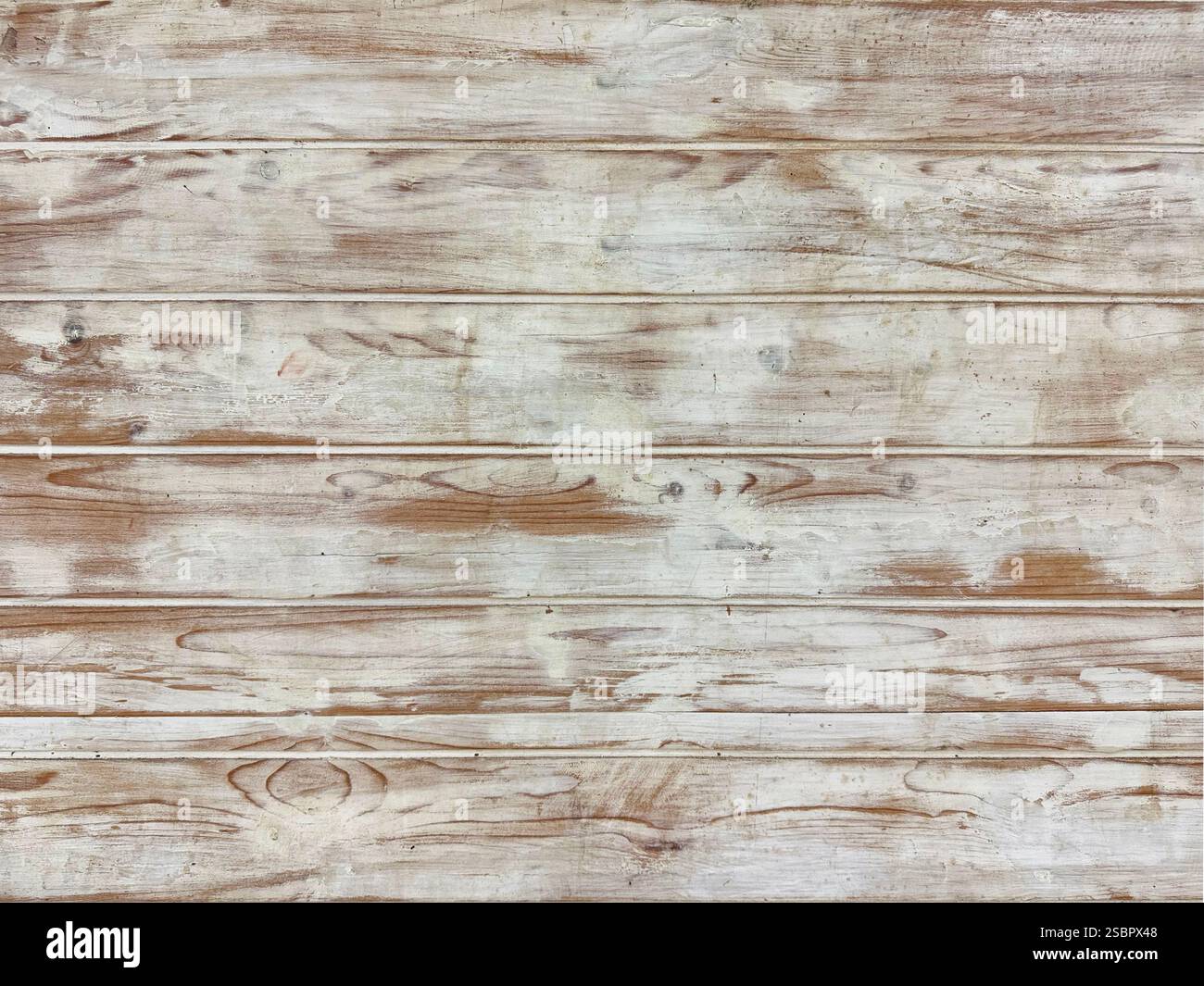 Close up of weathered rustic white oak wood plank, corroded in red ...