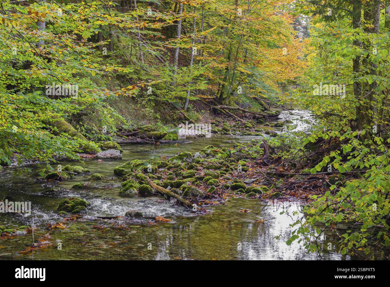 The Toplitz river begins at the western end of the Lake Toplitzsee as ...