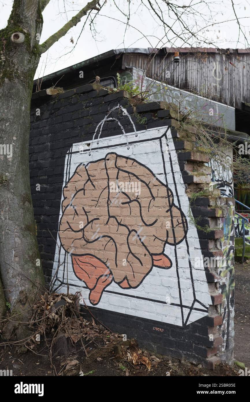 Human brain in a shopping bag, graffiti on the subject of sensible ...
