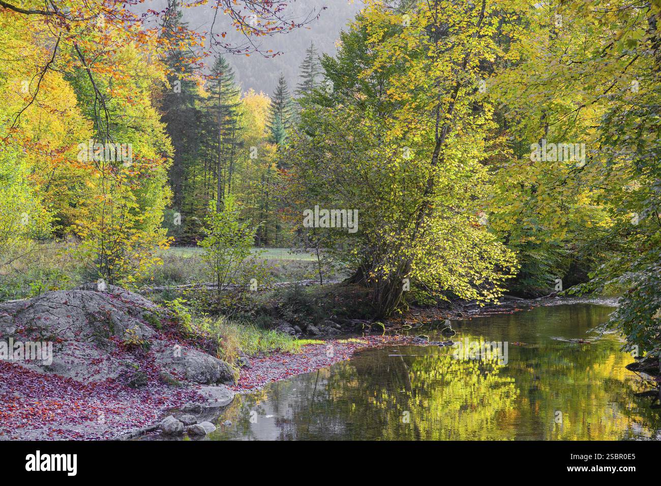 The Toplitz river begins at the western end of the Lake Toplitzsee as ...