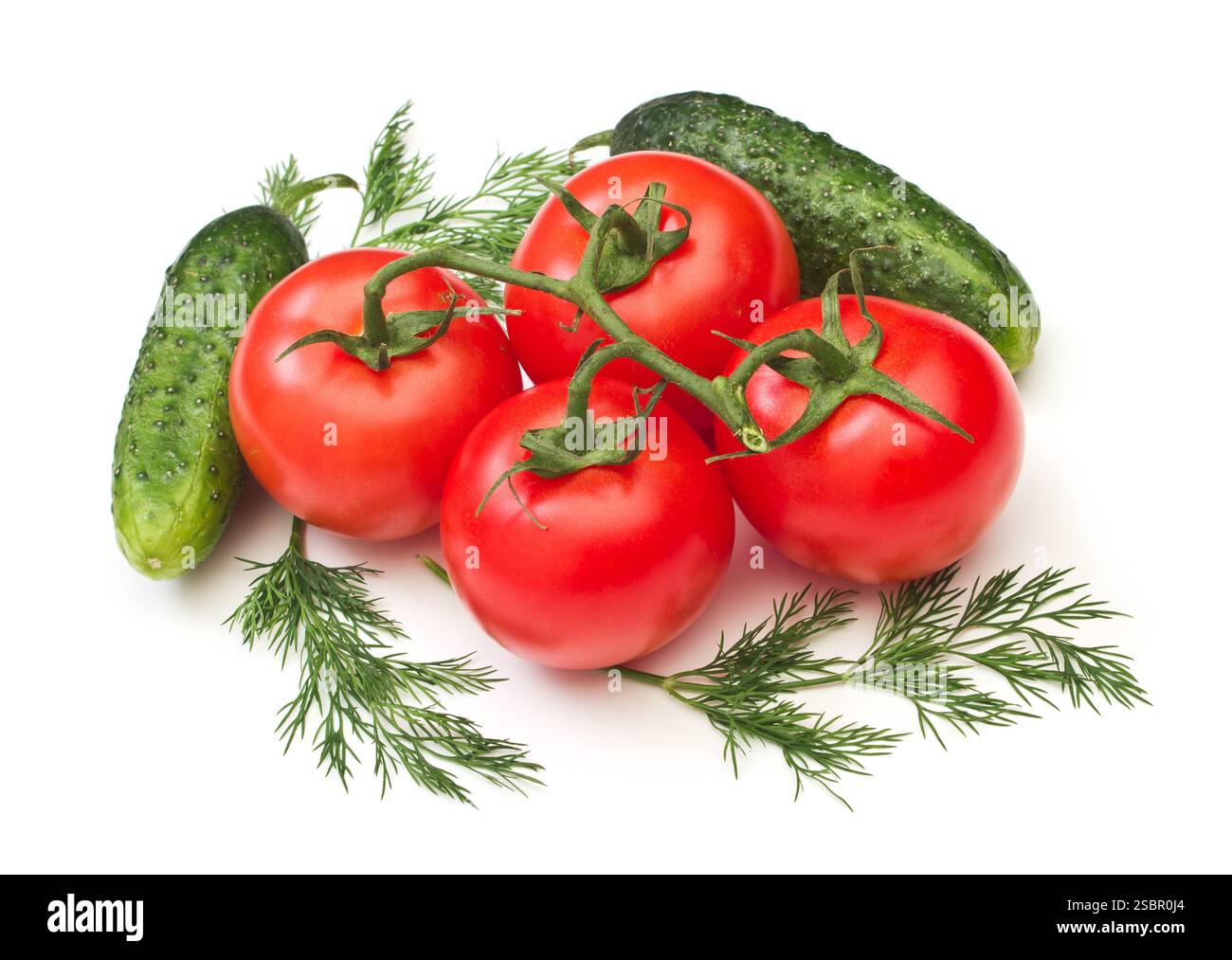 tomato and dill on a white background Stock Photo - Alamy