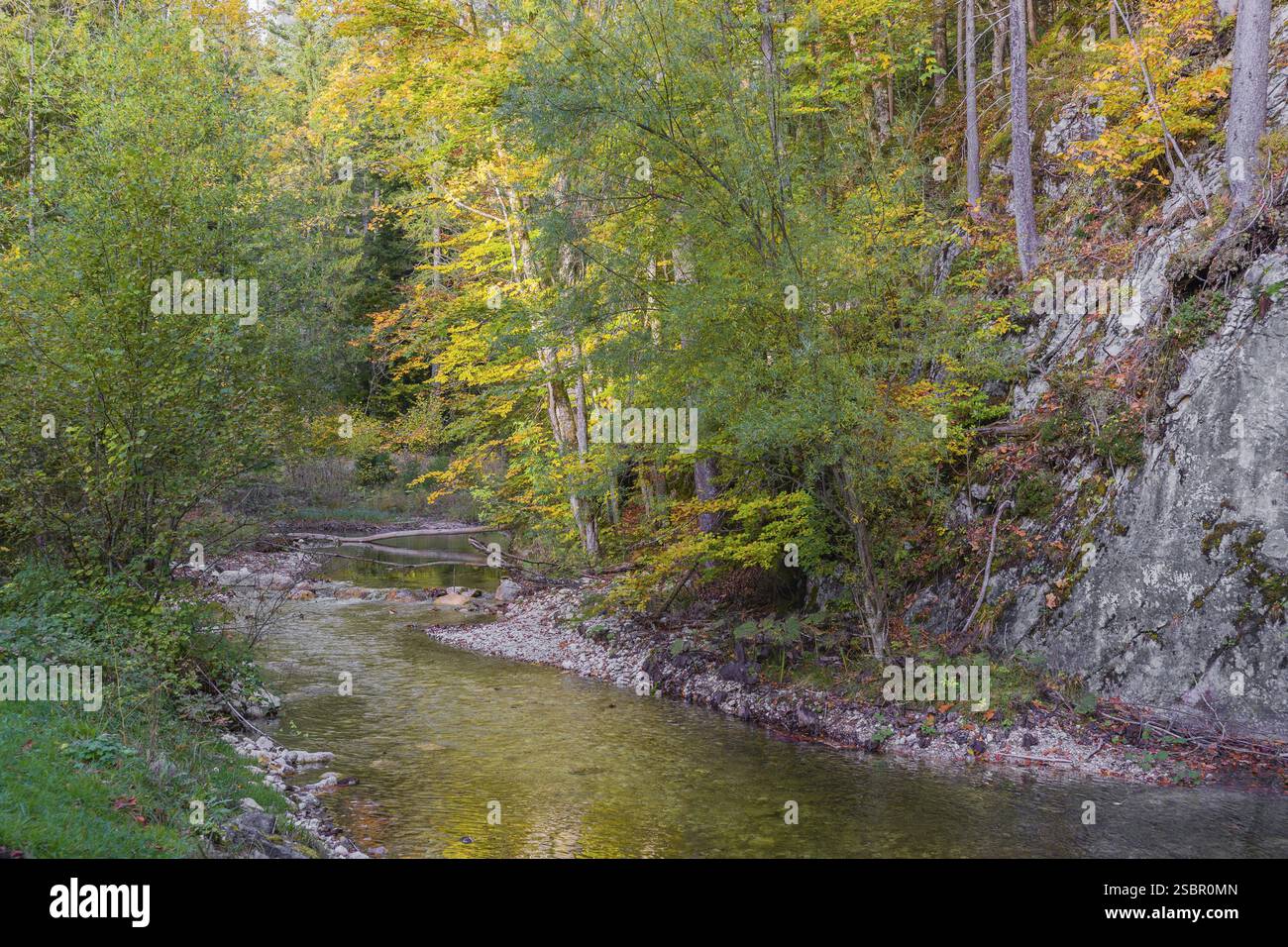 The Toplitz river begins at the western end of the Lake Toplitzsee as ...