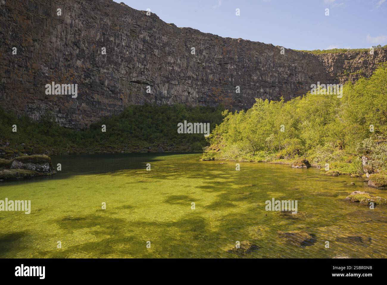 Asbyrgi is a glacial canyon in the Vatnajoekull-Nationalpark, N Iceland ...