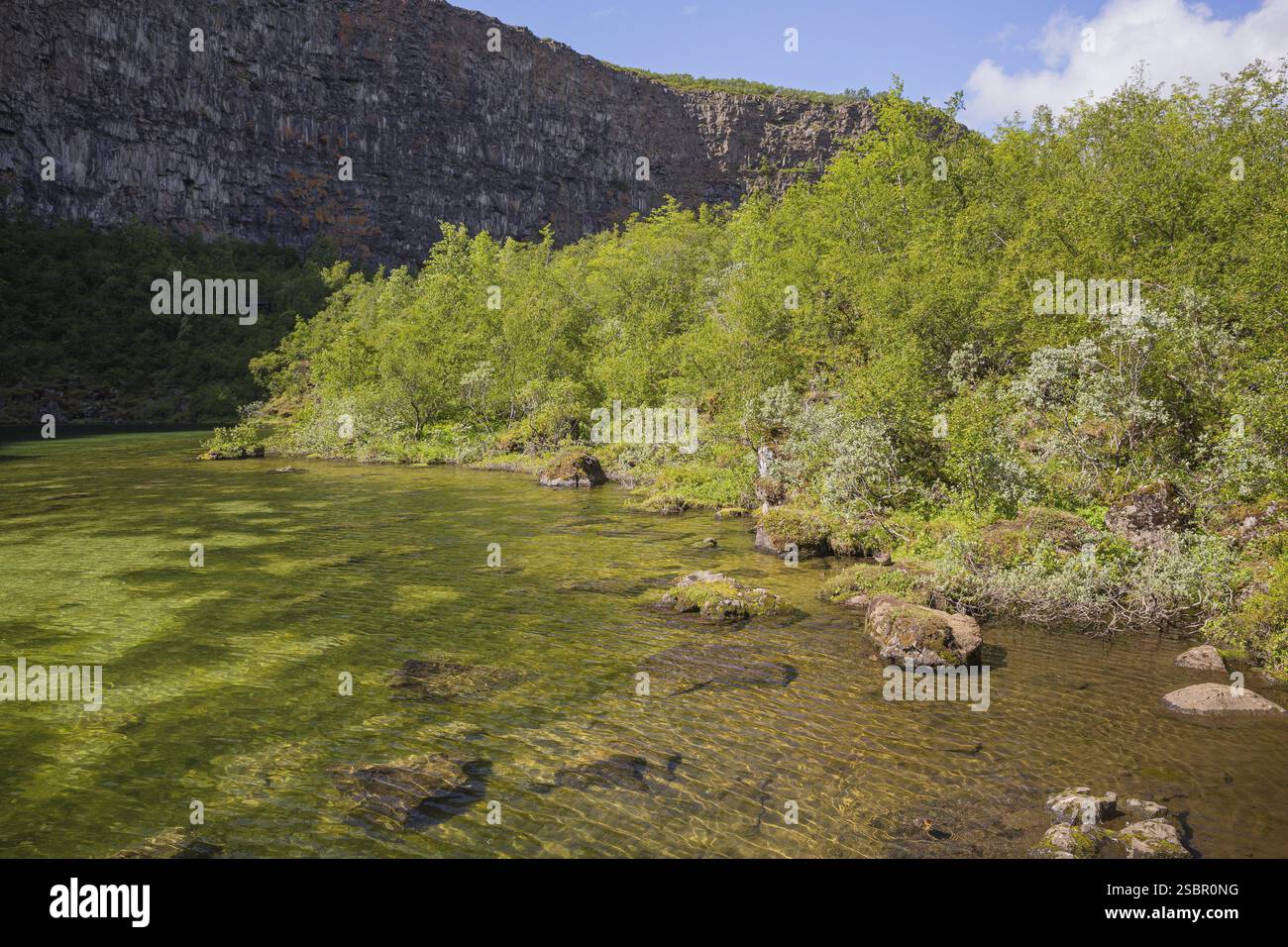 Asbyrgi is a glacial canyon in the Vatnajoekull-Nationalpark, N Iceland ...