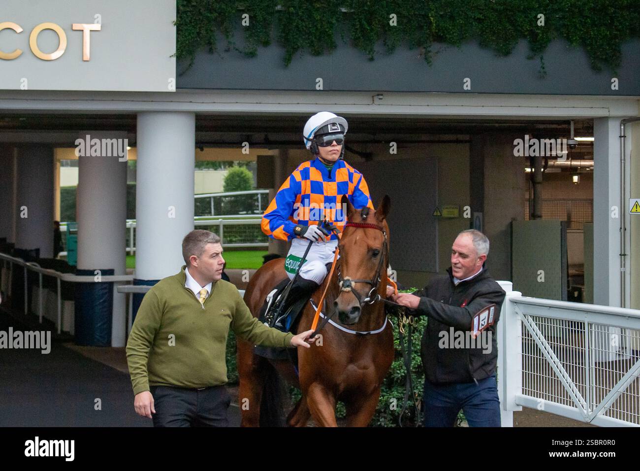 Miss aine oconnor hi-res stock photography and images - Alamy