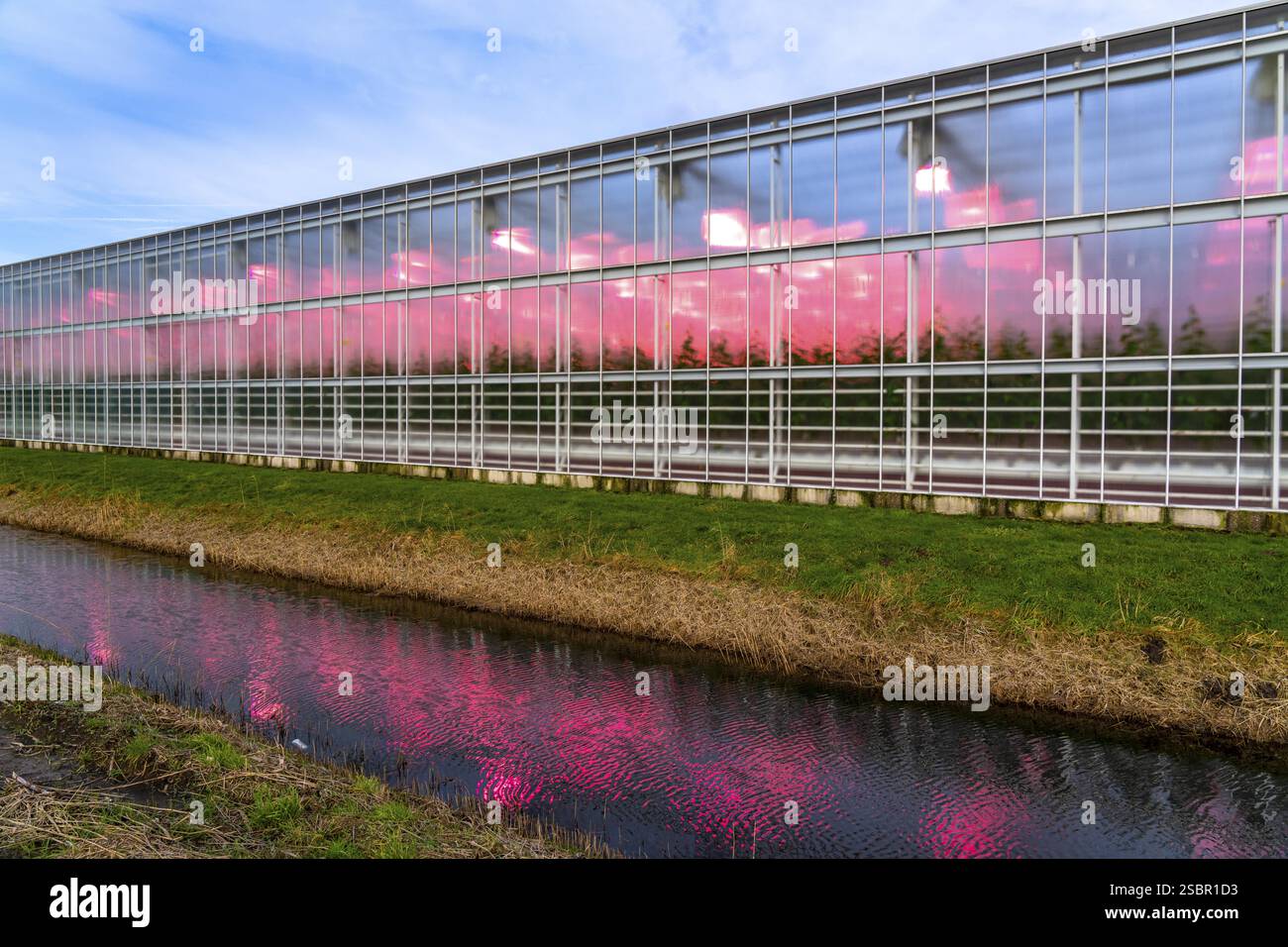 Large greenhouses for cucumbers and strawberries, over 10 hectares, the ...