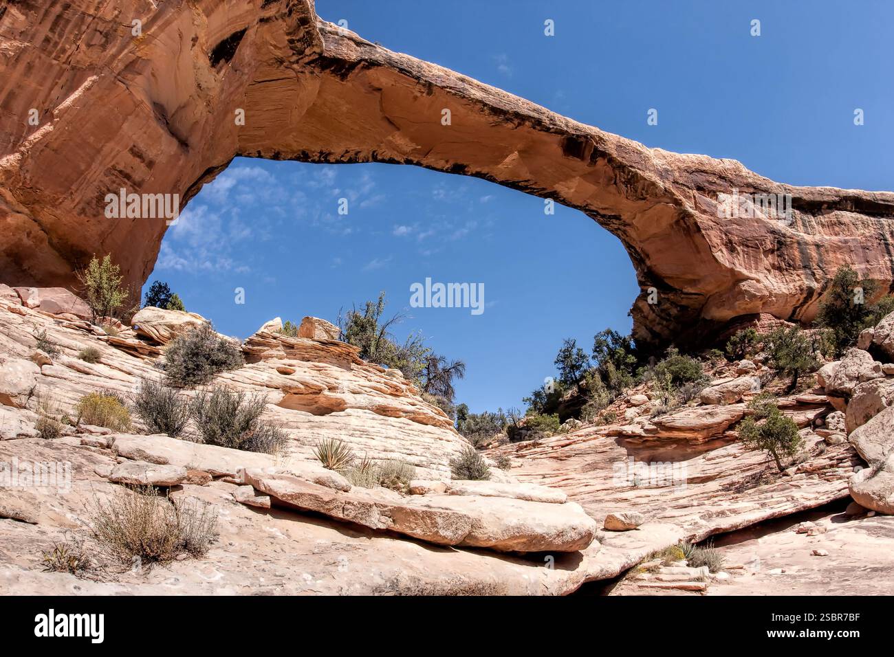 A large archway is visible in the distance. The sky is clear and blue ...