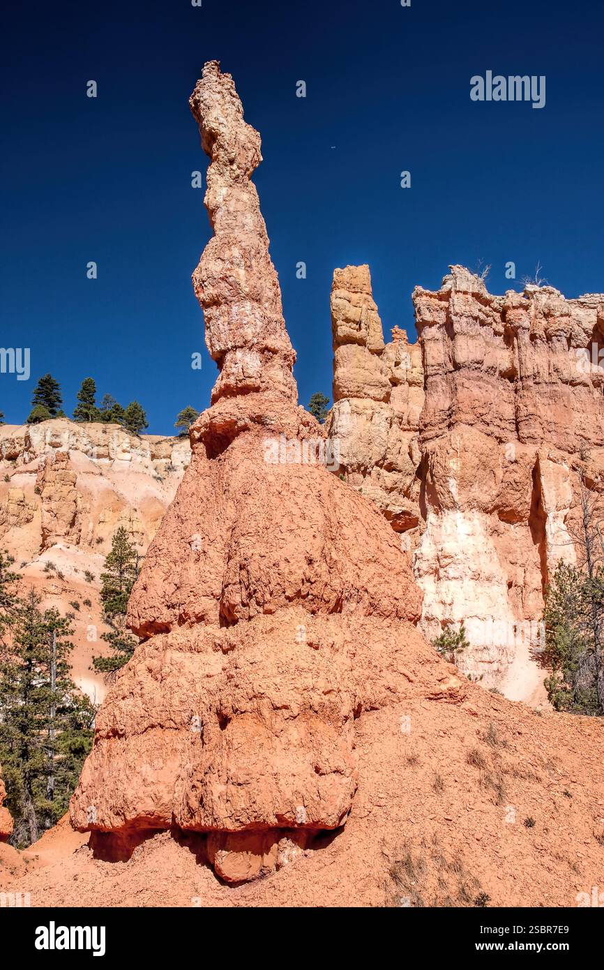 A large rock formation with a tree growing out of it. The rock ...