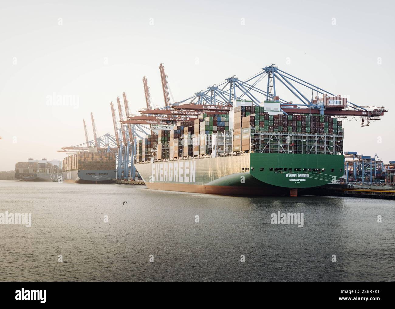 Aufnahme des Containerterminals Burchardkai mit Containerschiffen von ...