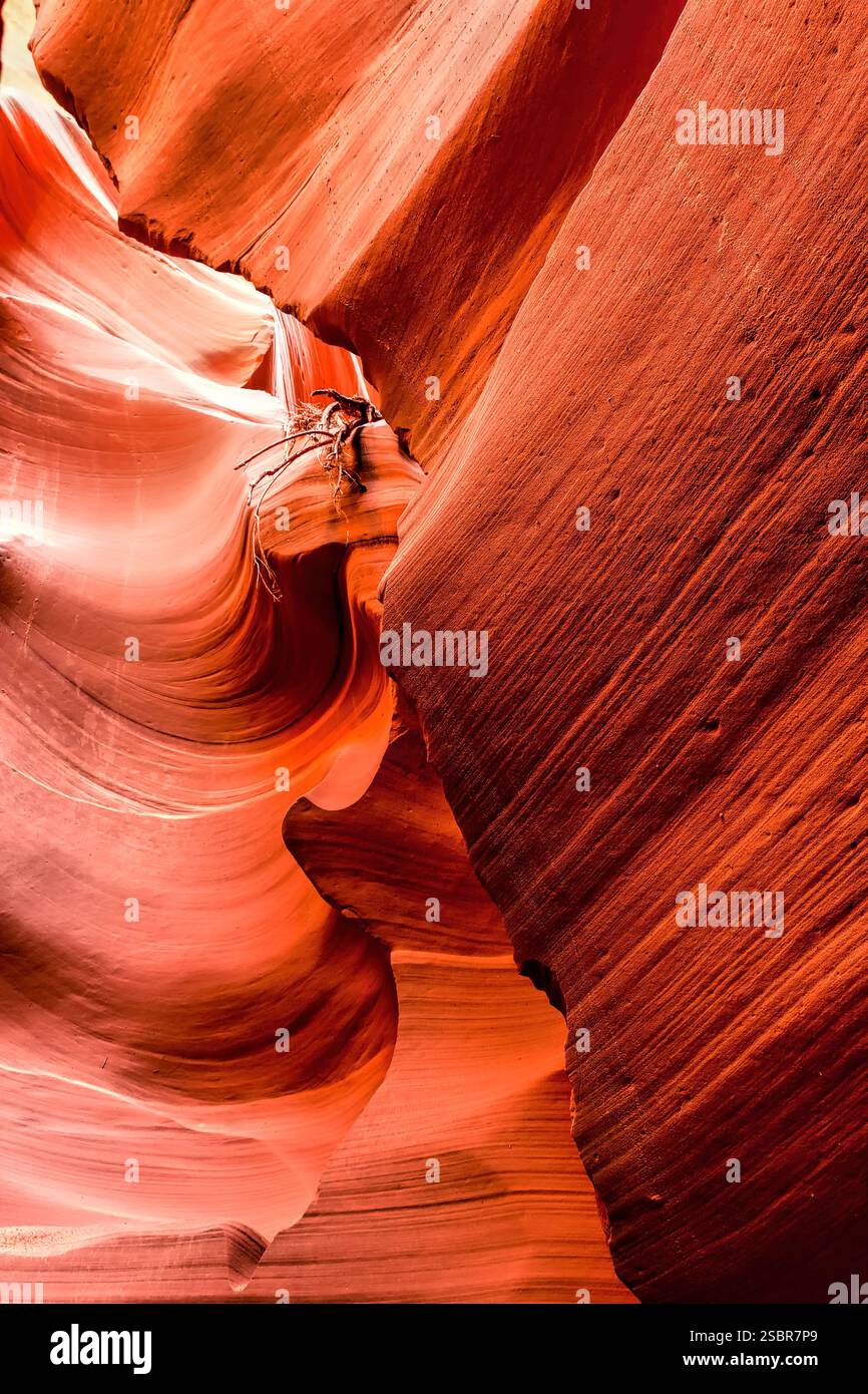 A red canyon wall with a small crack in it. The crack is about the size ...
