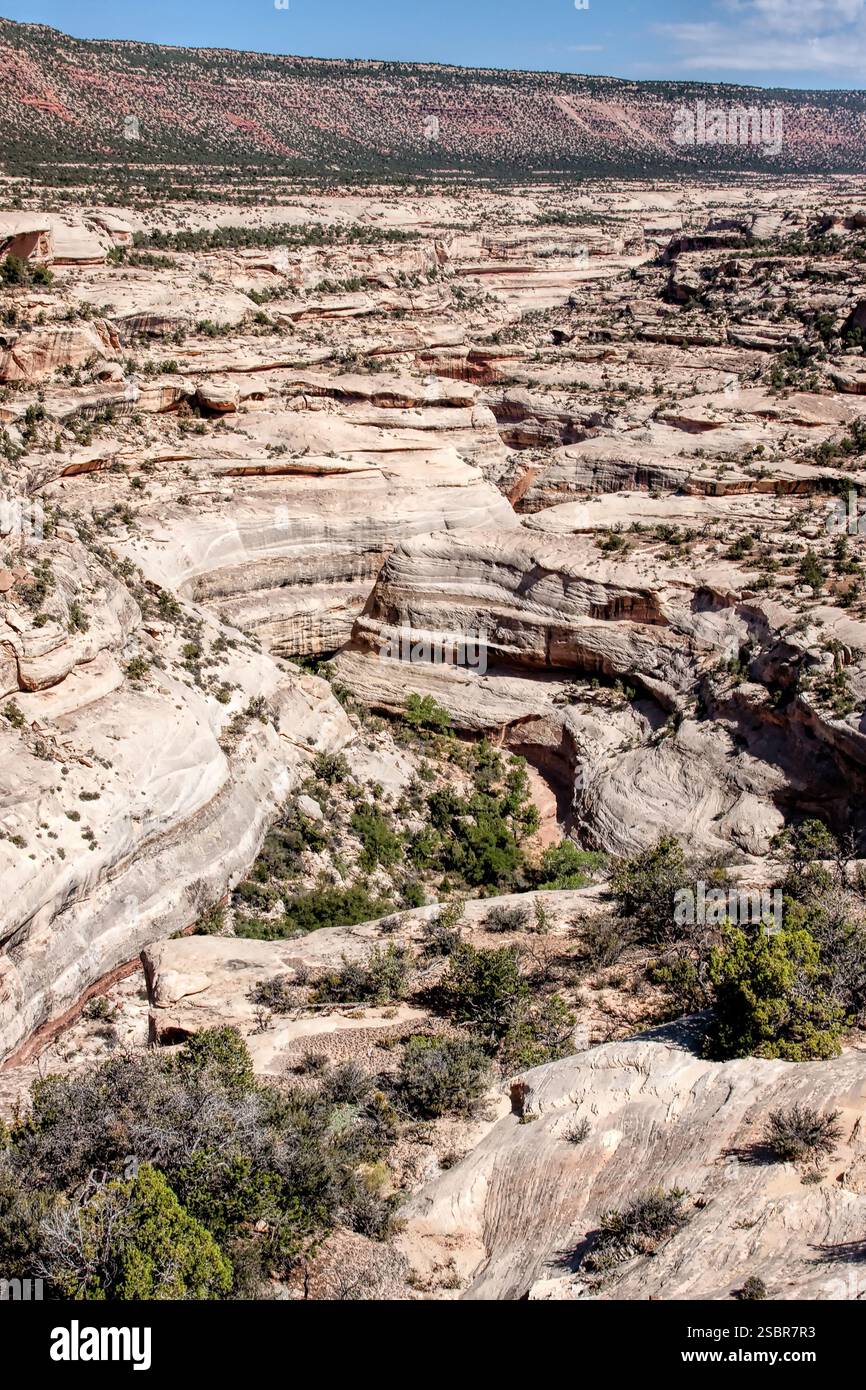 A rocky mountain with a canyon in the middle. The canyon is filled with ...