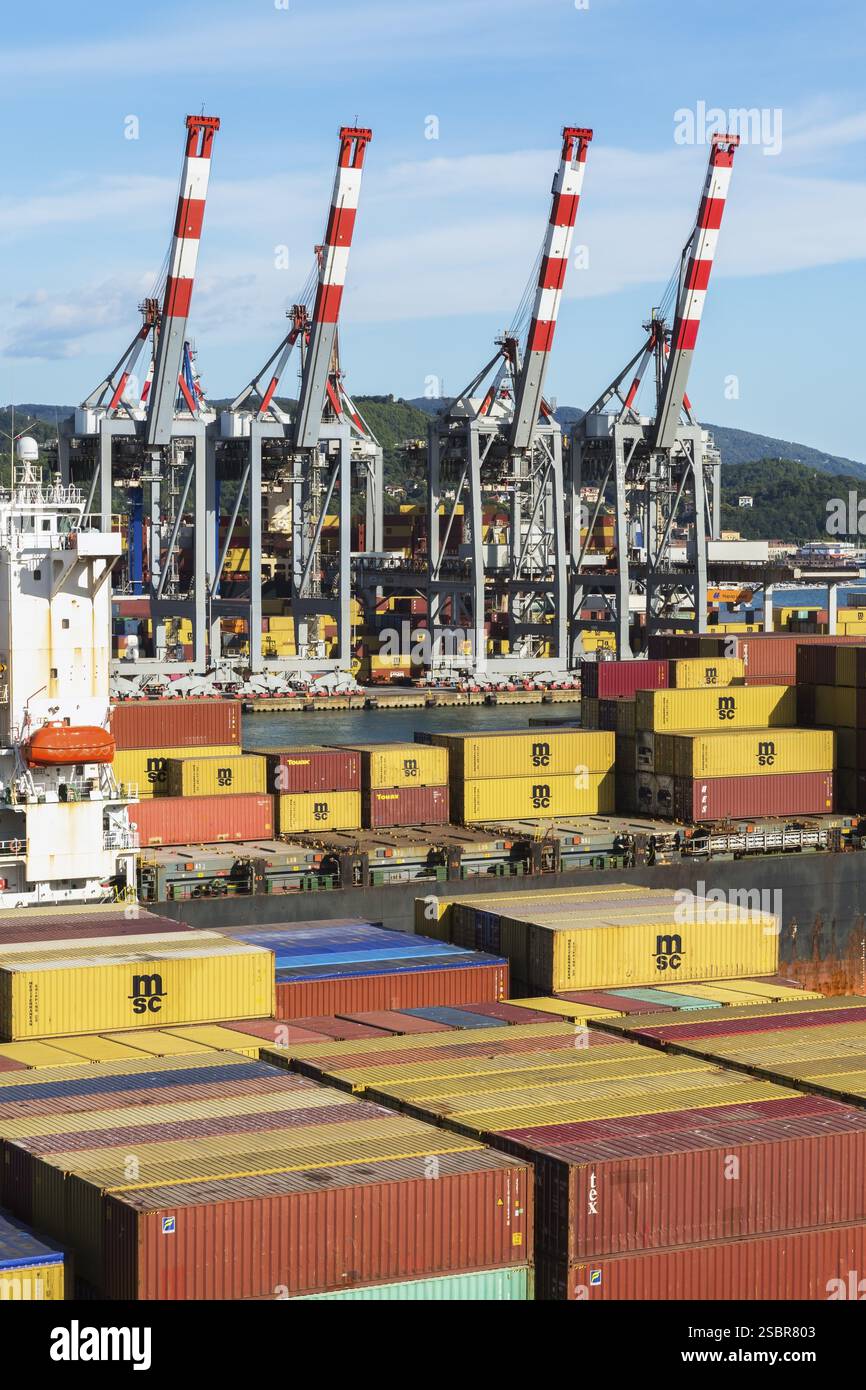 Stacked metal box shipping containers and gantry cranes on dock, MSC ...