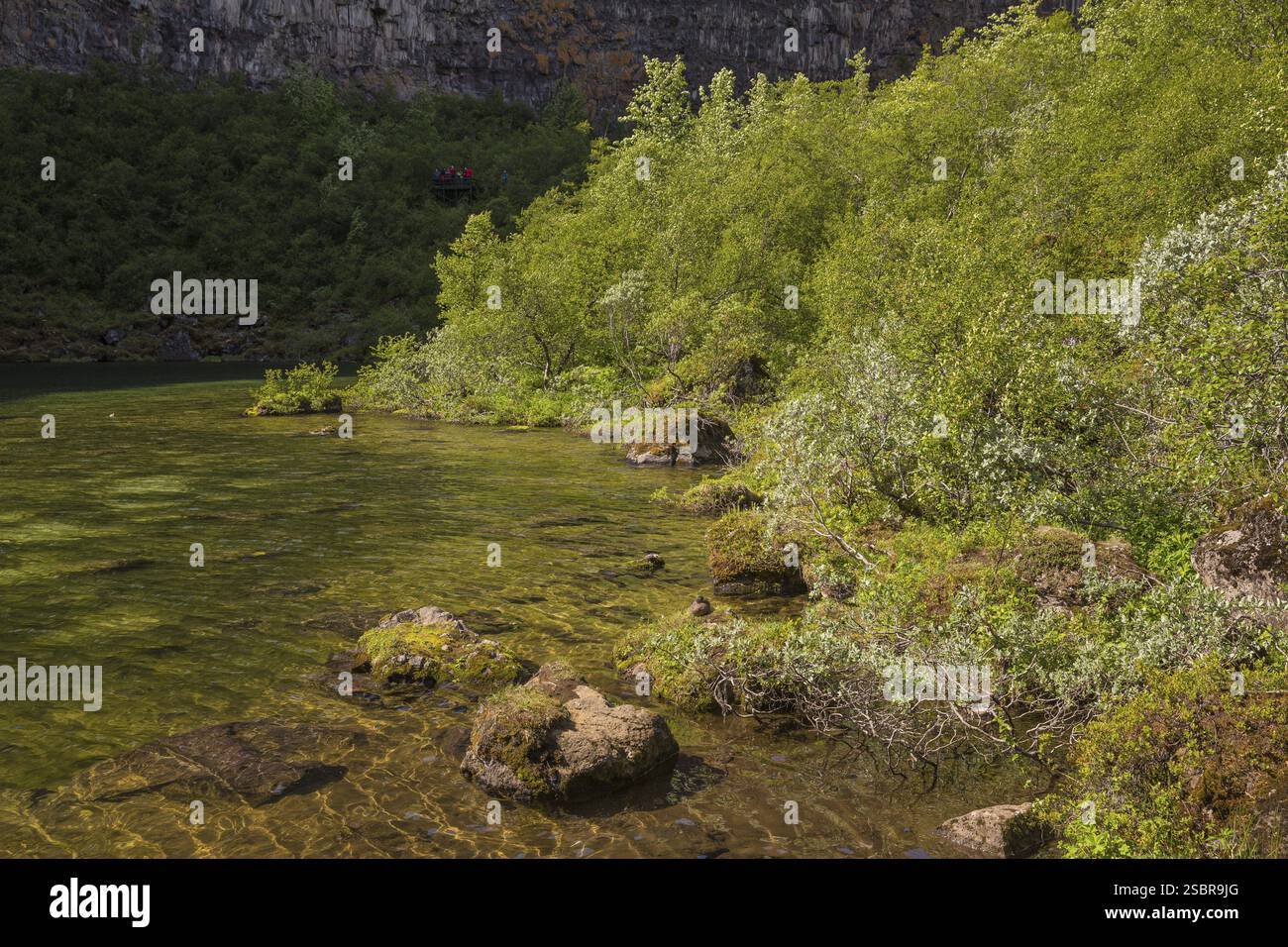 Asbyrgi is a glacial canyon in the Vatnajoekull-Nationalpark, N Iceland ...