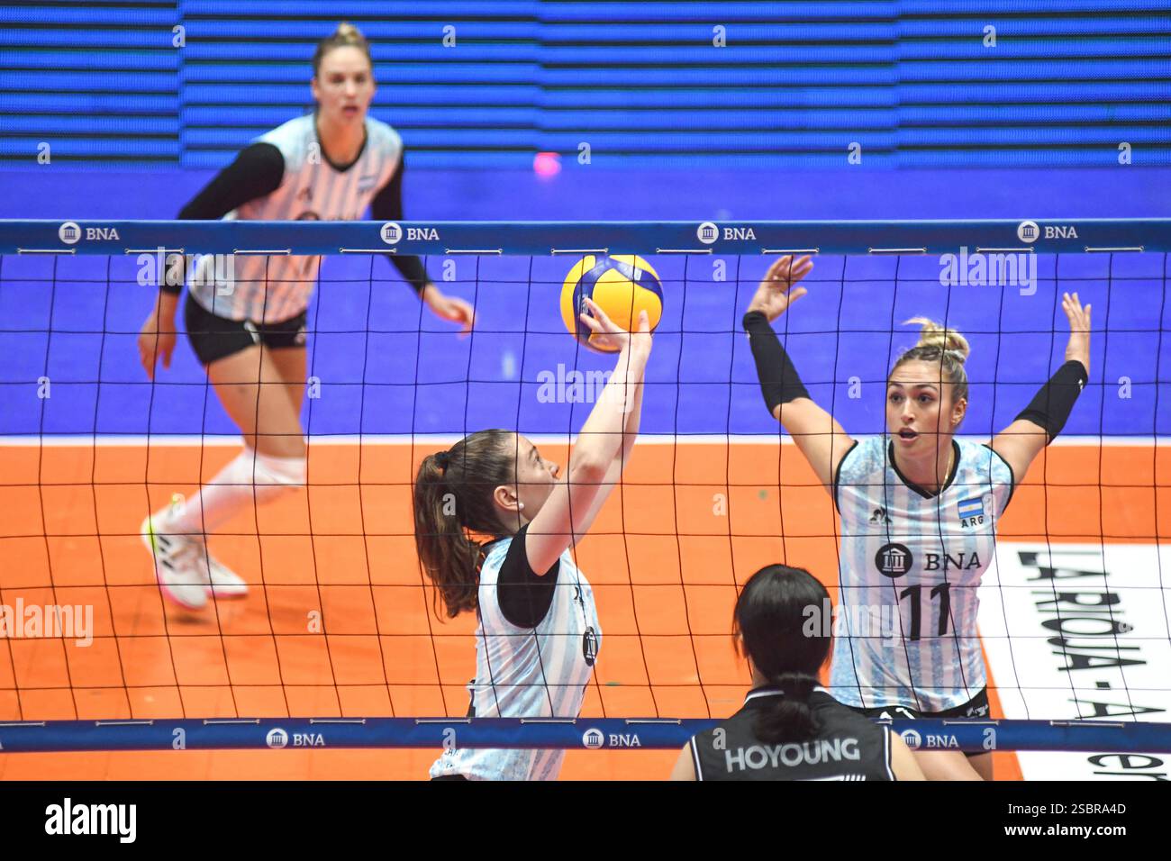 Victoria Mayer. Argentina Women's Volleyball Team (Las Panteras Stock ...