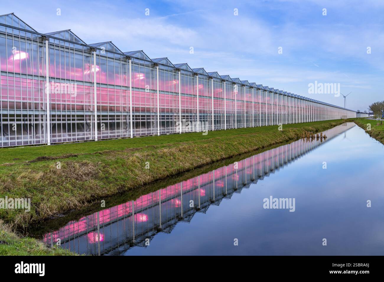 Large greenhouses for cucumbers and strawberries, over 10 hectares, the ...