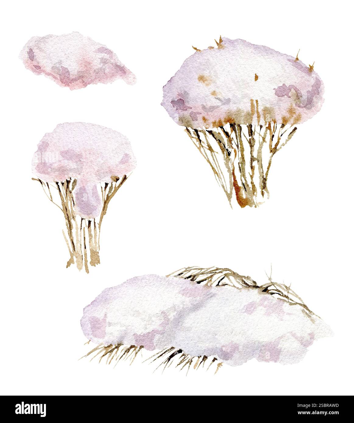 bushes of plants under a cap of snow from above. Winter, cold plants ...