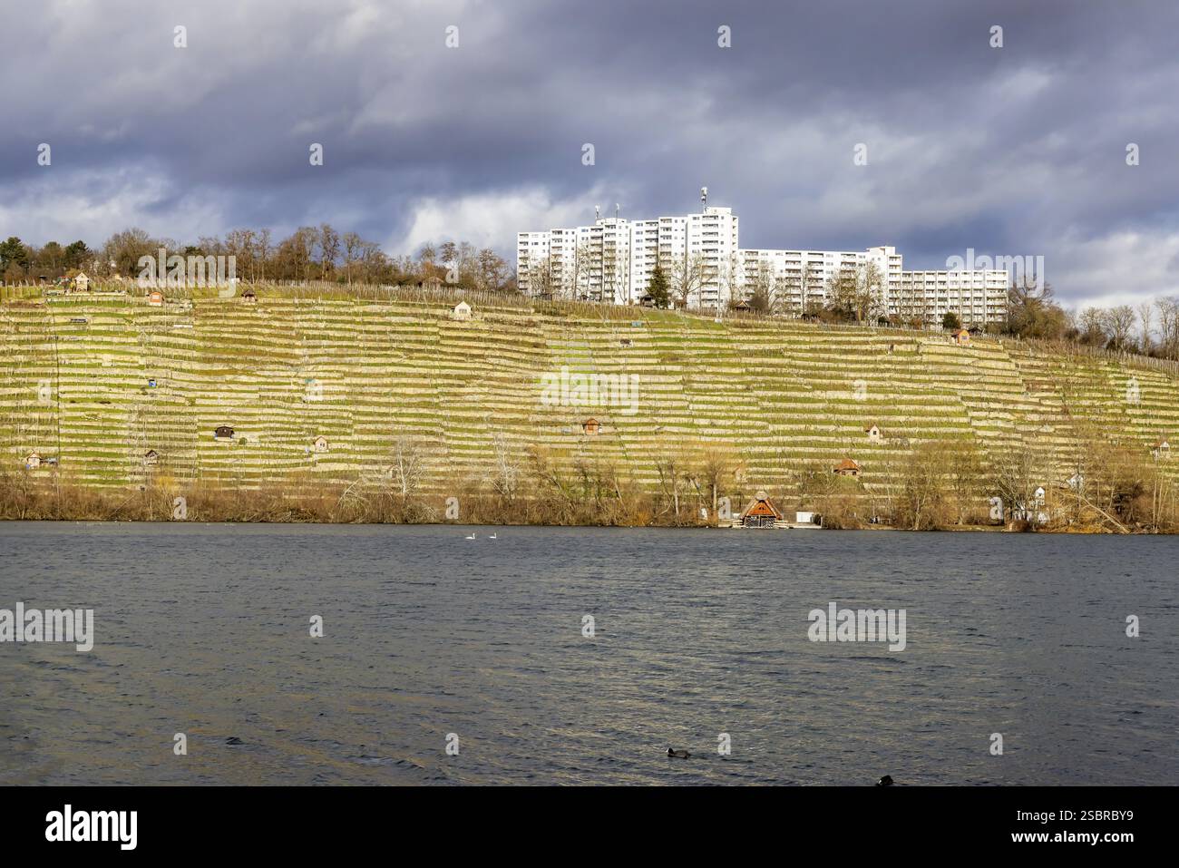 Max-Eyth-See in winter, vineyards and housing estate in the Freiberg ...