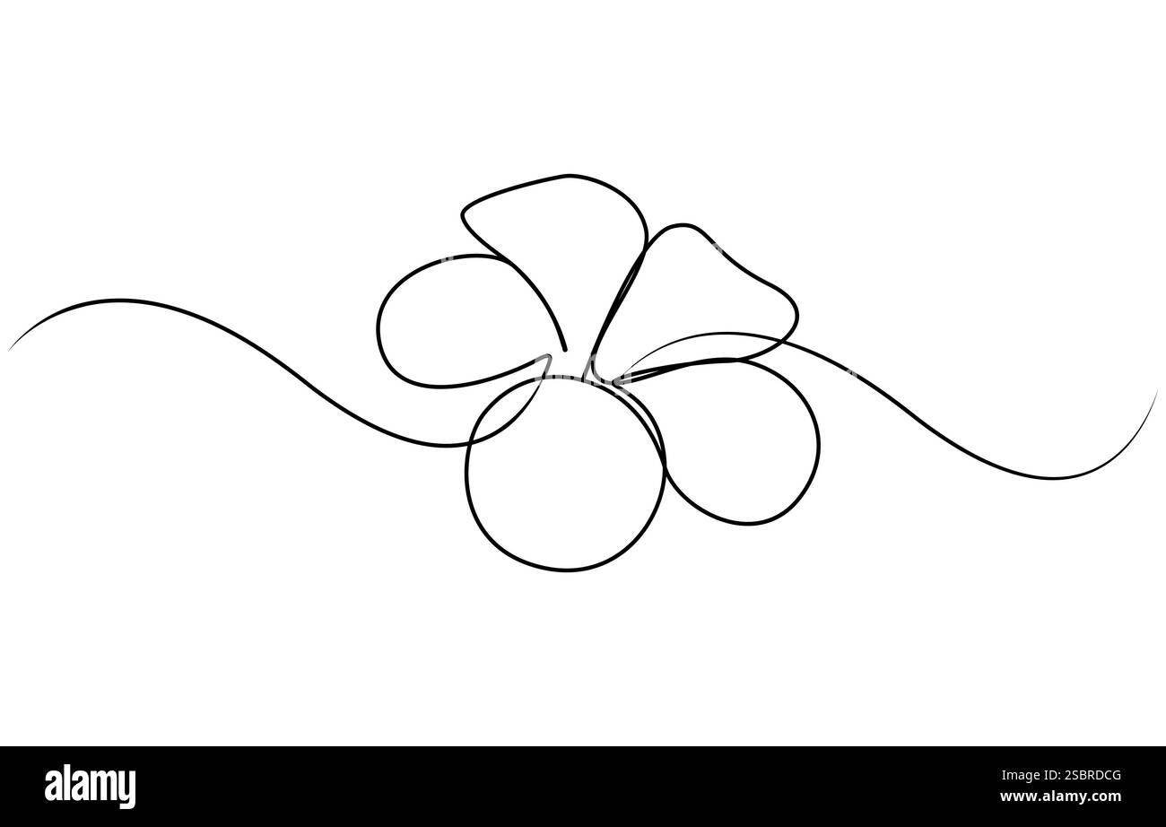 Plumeria flowers in continuous line art Stock Vector Image & Art - Alamy