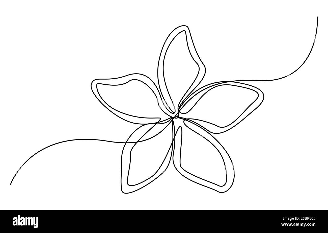 Plumeria flowers in continuous line art Stock Vector Image & Art - Alamy