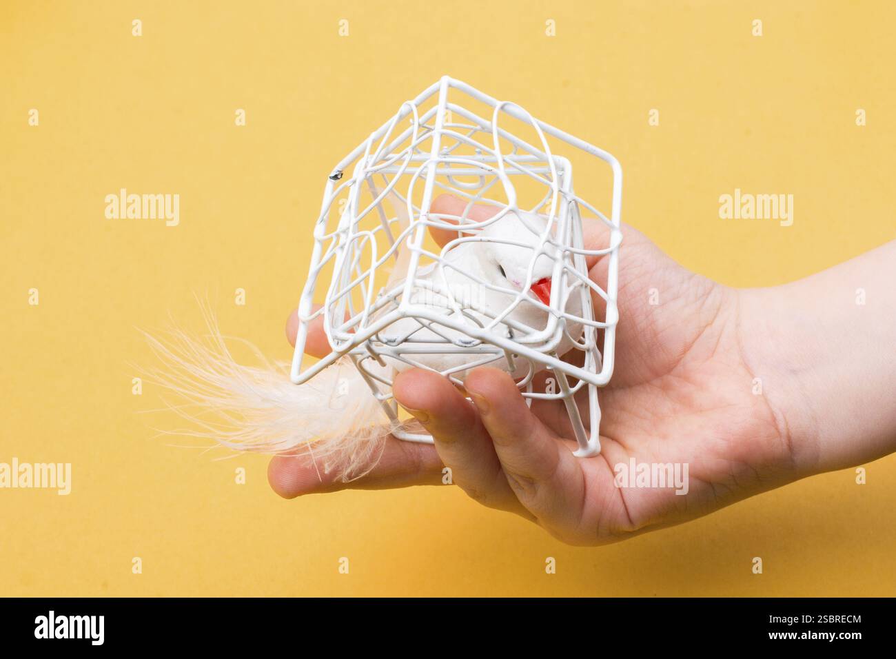 Fake bird locked in a cage in hand Stock Photo - Alamy