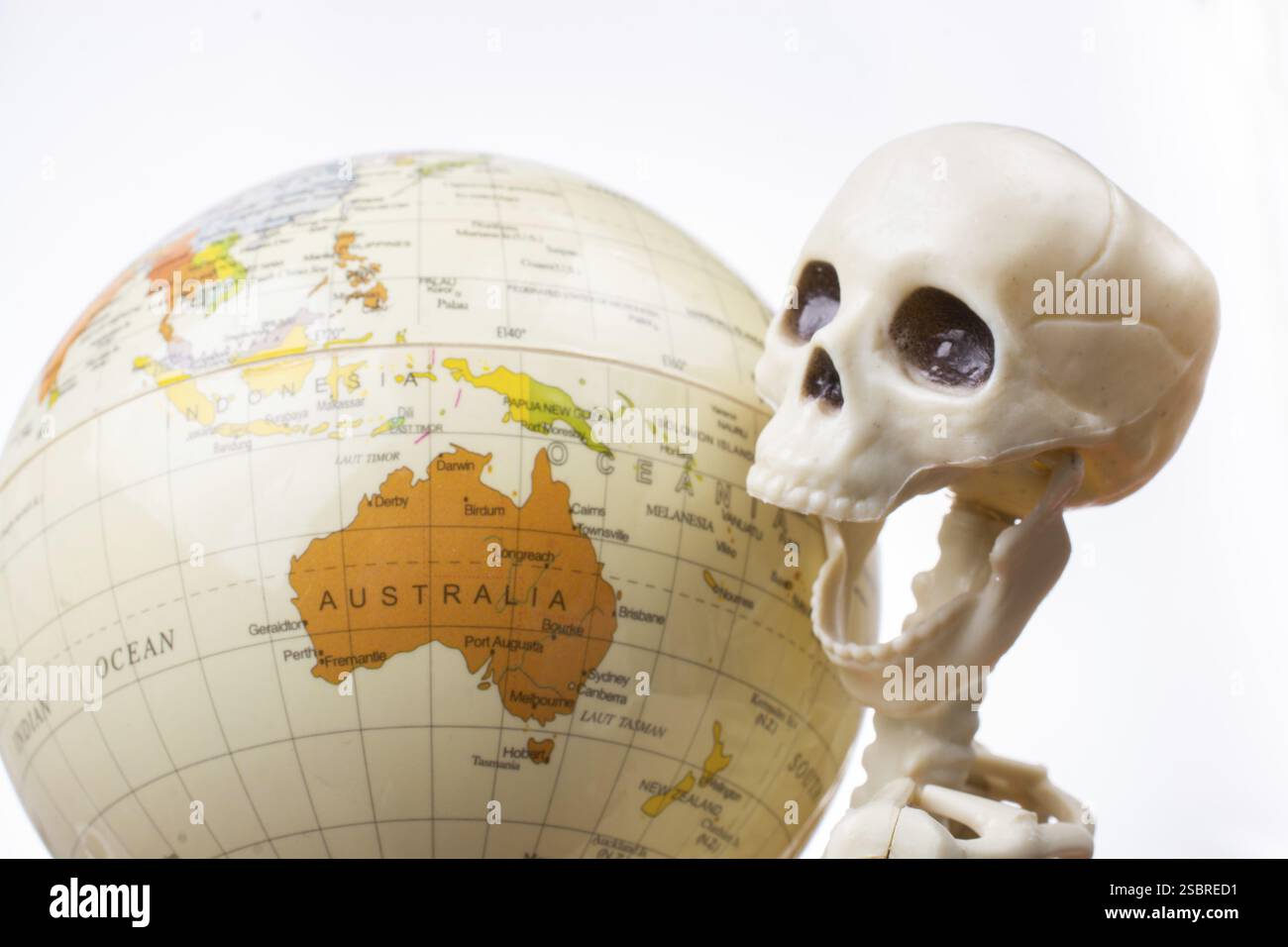 The earth in a skeleton hand Stock Photo - Alamy