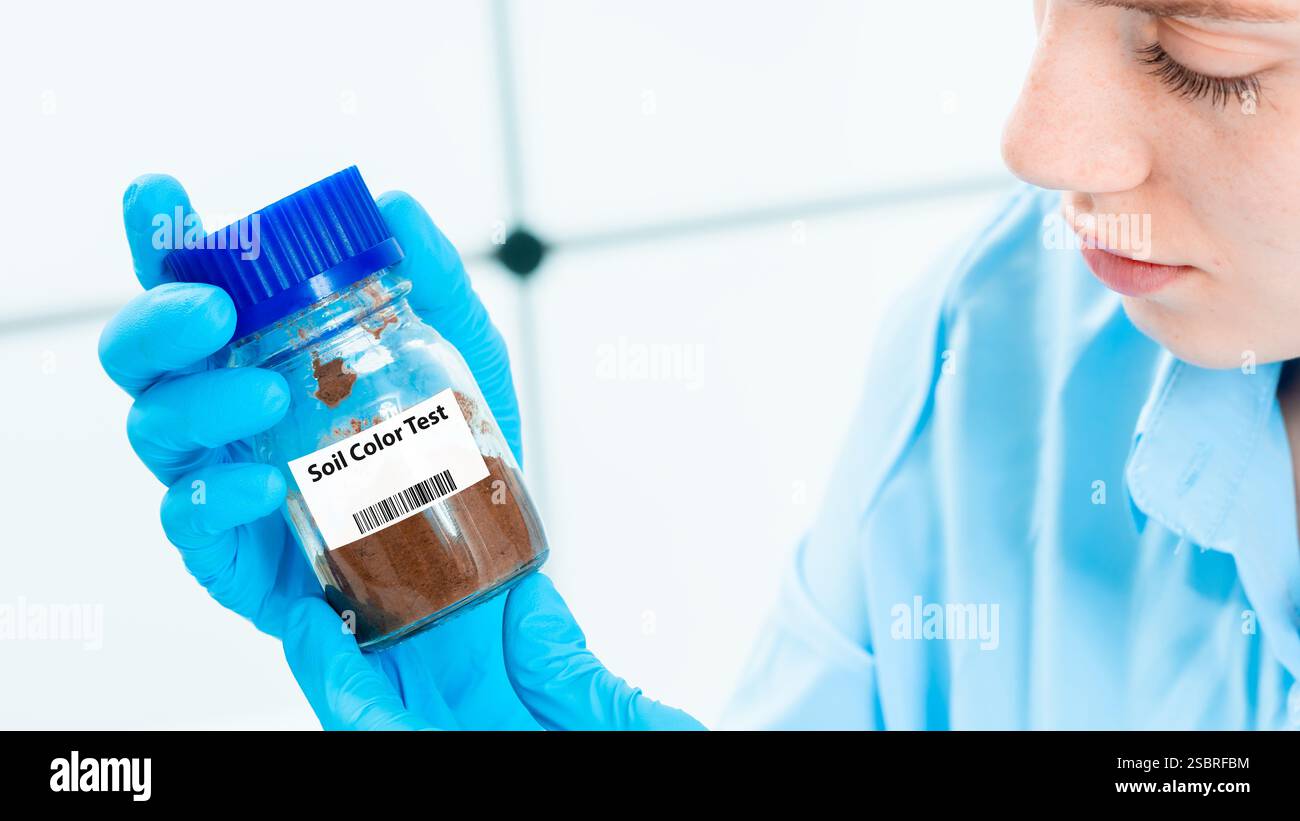 Soil Color Test Examines the color of soil for classification Stock ...
