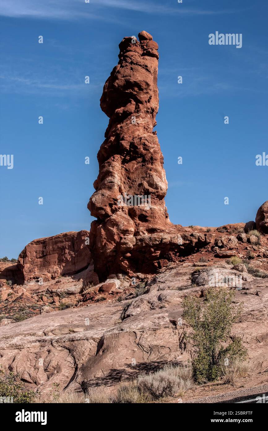 A large rock formation with a tree growing out of it. The rock is brown ...