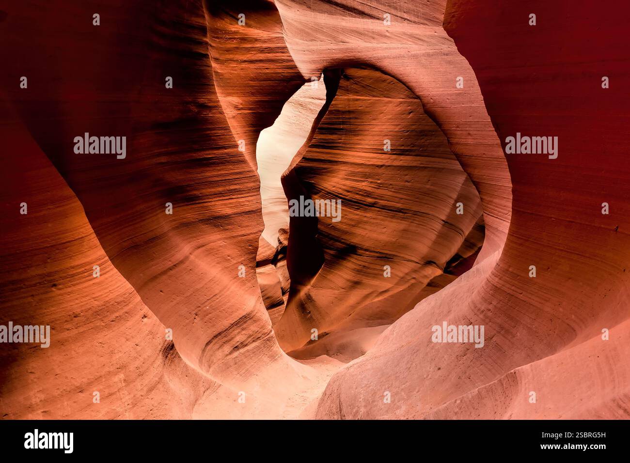 A narrow canyon with a red wall. The canyon is carved out of the rock ...